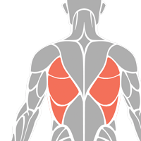 Exercise How-to Library - Skimble Workout Trainer