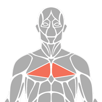 Exercise How-to Library - Skimble Workout Trainer