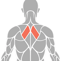 Exercise How-to Library - Skimble Workout Trainer